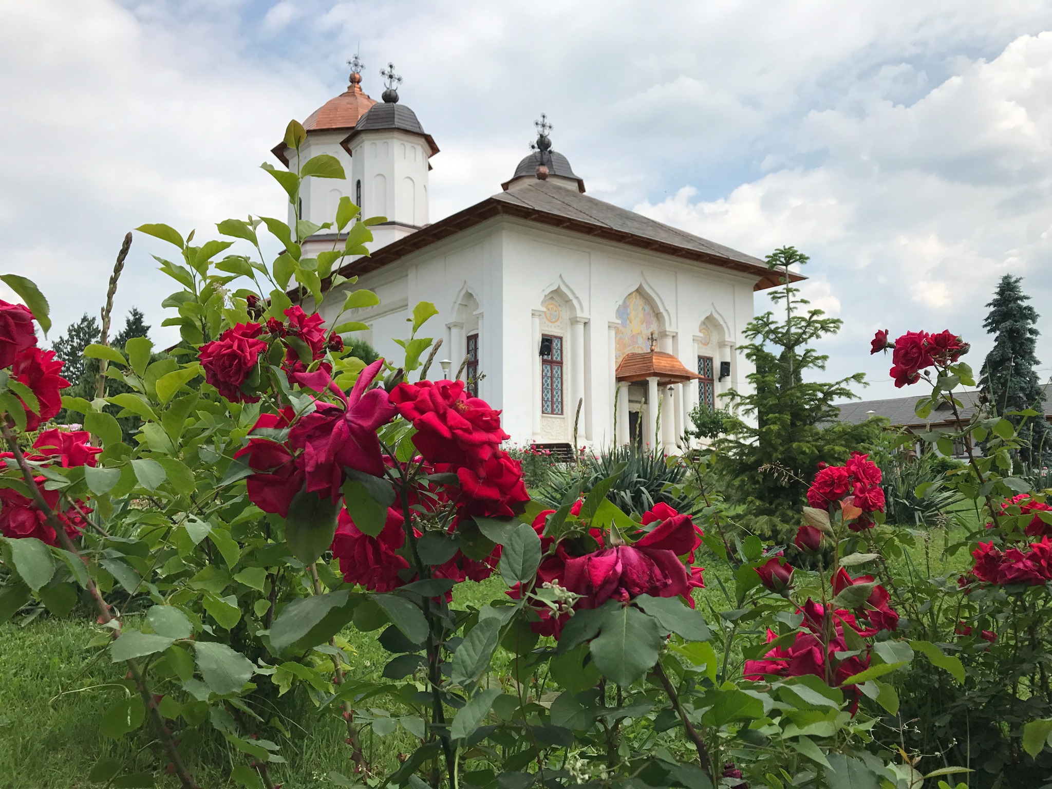 Cernica: O Comună Plină de Istorie din Ilfov